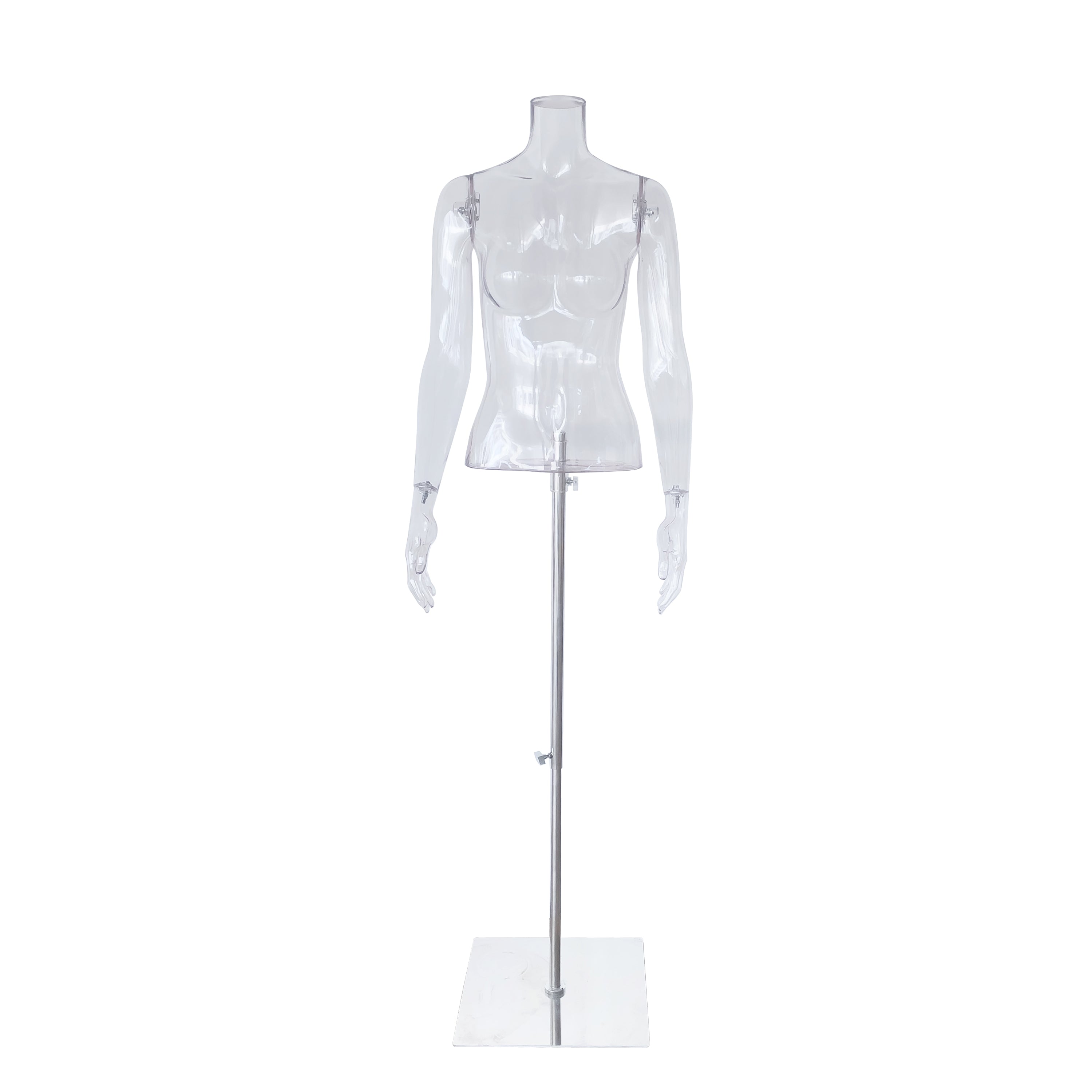 FTK02 Transparent Female Headless Torso – TheMannequin.com