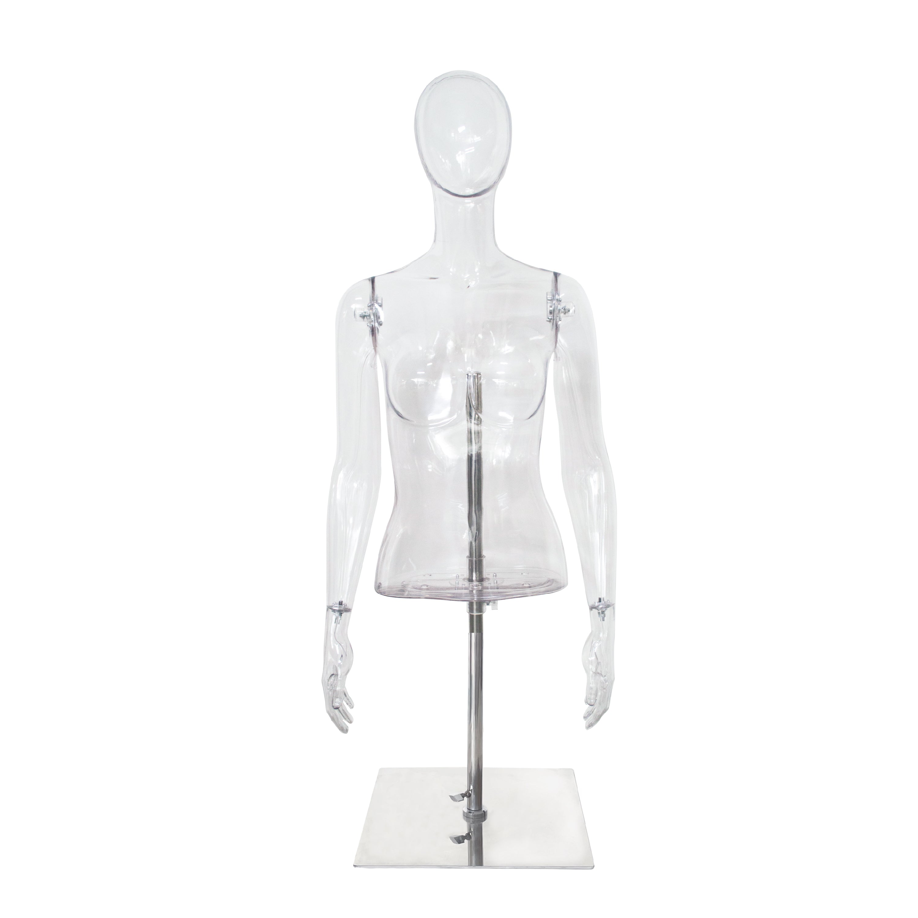 FTK01 Transparent Female Torso – TheMannequin.com
